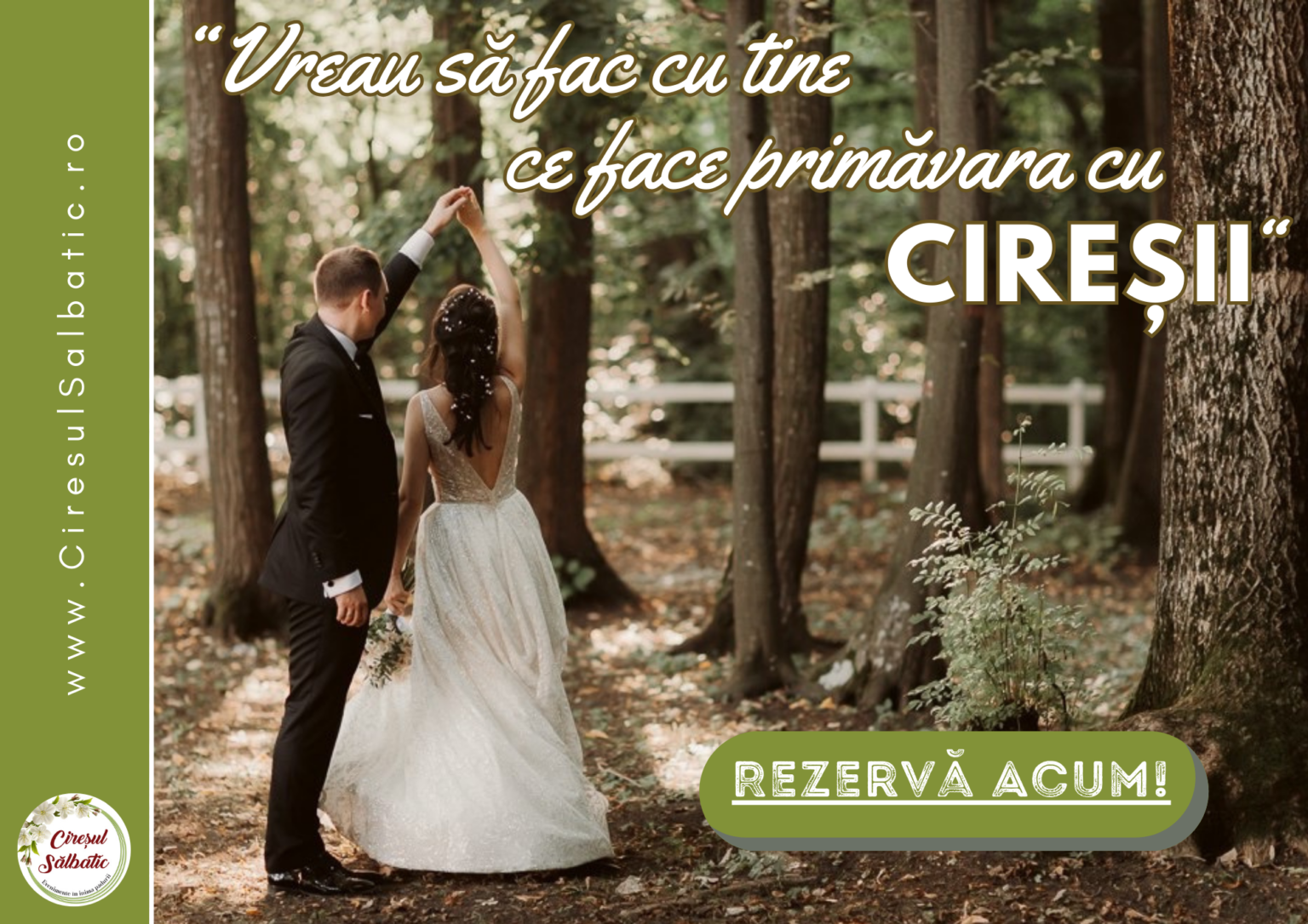 Contact – Ciresul Salbatic
